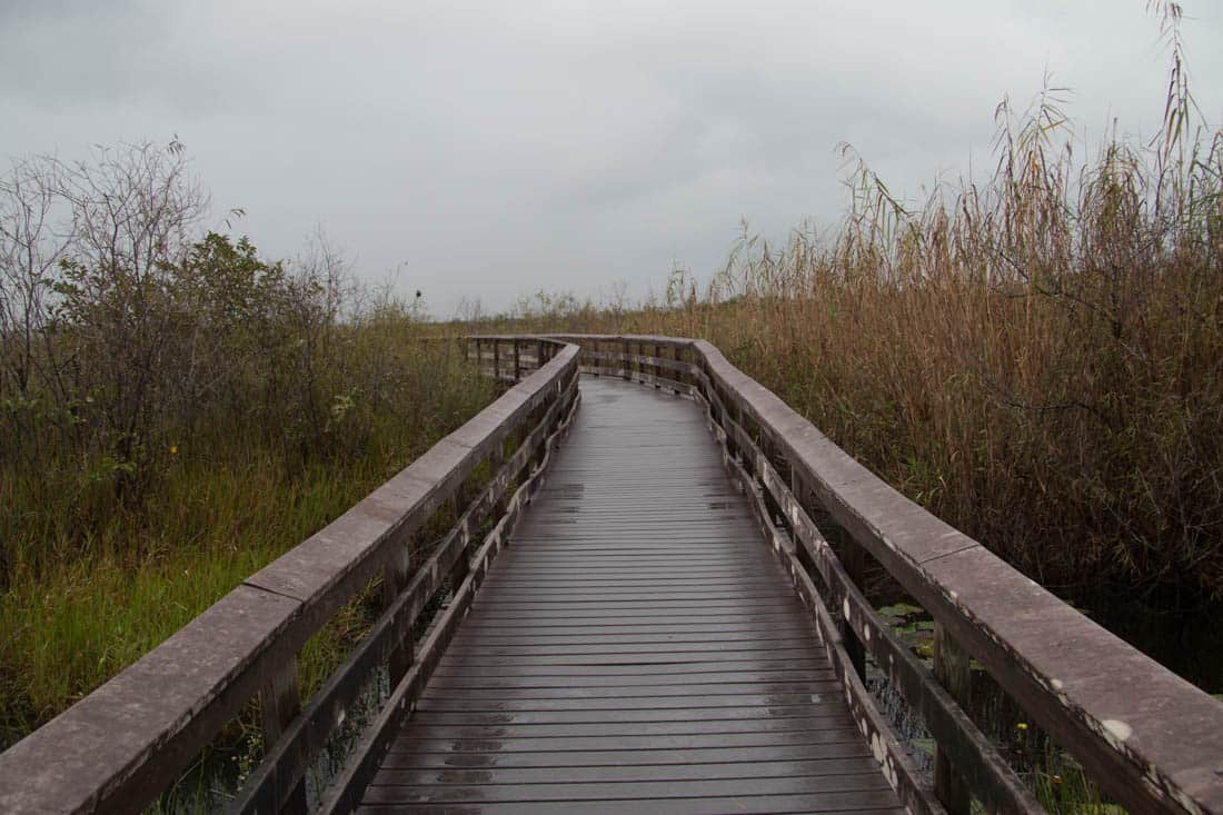 Key Largo and Everglades National Park (Florida Keys Road Trip}