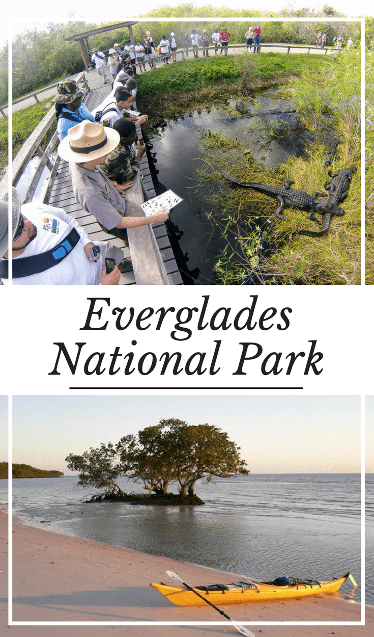 Key Largo and Everglades National Park (Florida Keys Road Trip}